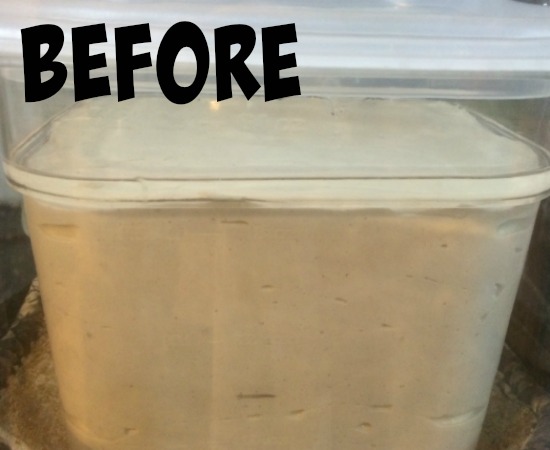 Dairy-free Cheesecake (Fermented, Egg-free, Paleo, Gluten-free ...