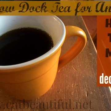 How to Make YELLOW DOCK TEA for Anemia ("Iron Wine" decoction, herbal ...
