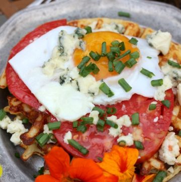 Egg on Blue Cheese Tomato Waffle (Gluten-free, Grain-free) - Eat Beautiful