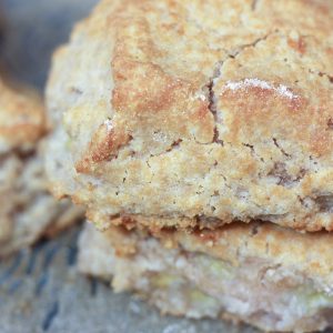 AIP & Paleo Cassava Flour *Biscuits* (egg-free, nut-free, dairy-free ...