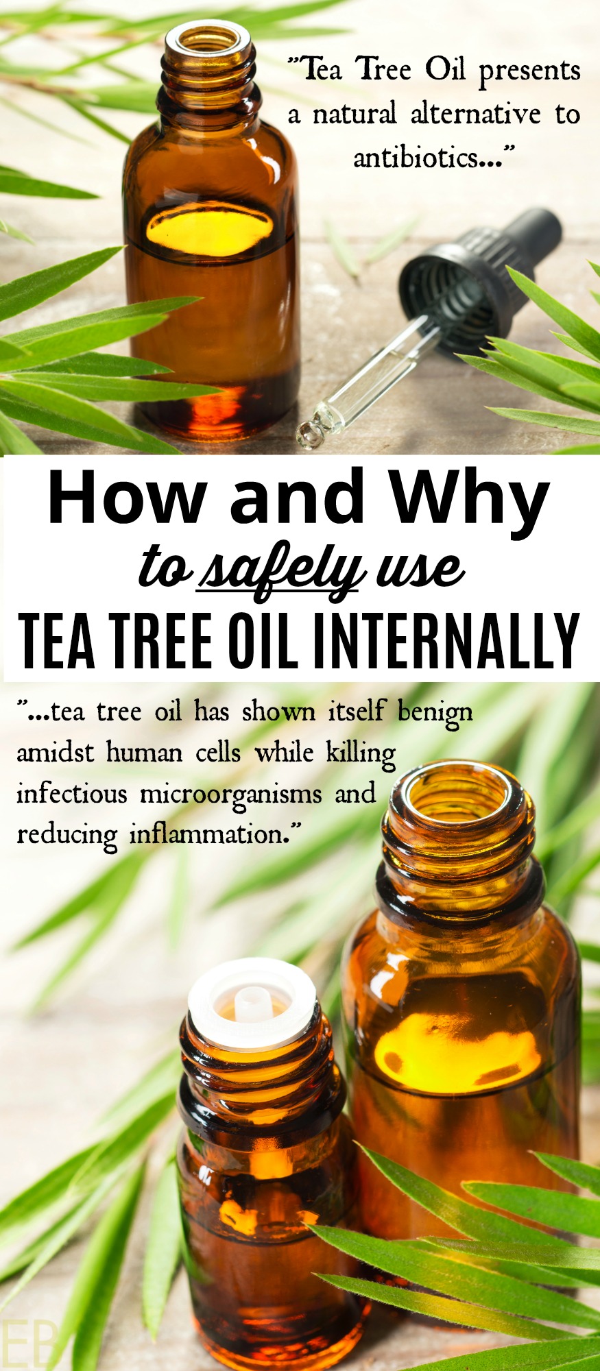 How & Why to Safely Use Tea Tree Oil Internally (Antibiotic Alternative ...