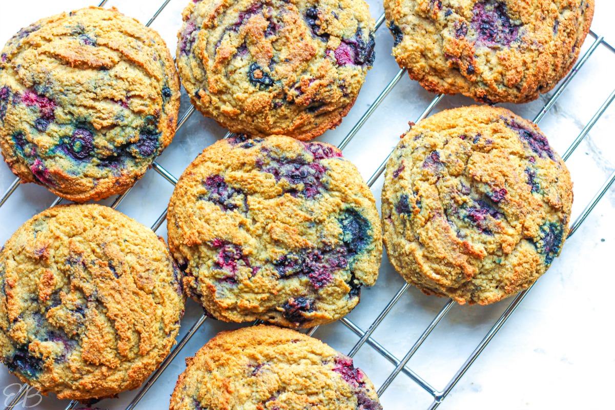 Paleo and AIP Mixed Berry Breakfast Cookies - Eat Beautiful