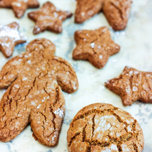 AIP Gingerbread Cookies! or House! (Paleo, Gluten-free) - Eat Beautiful