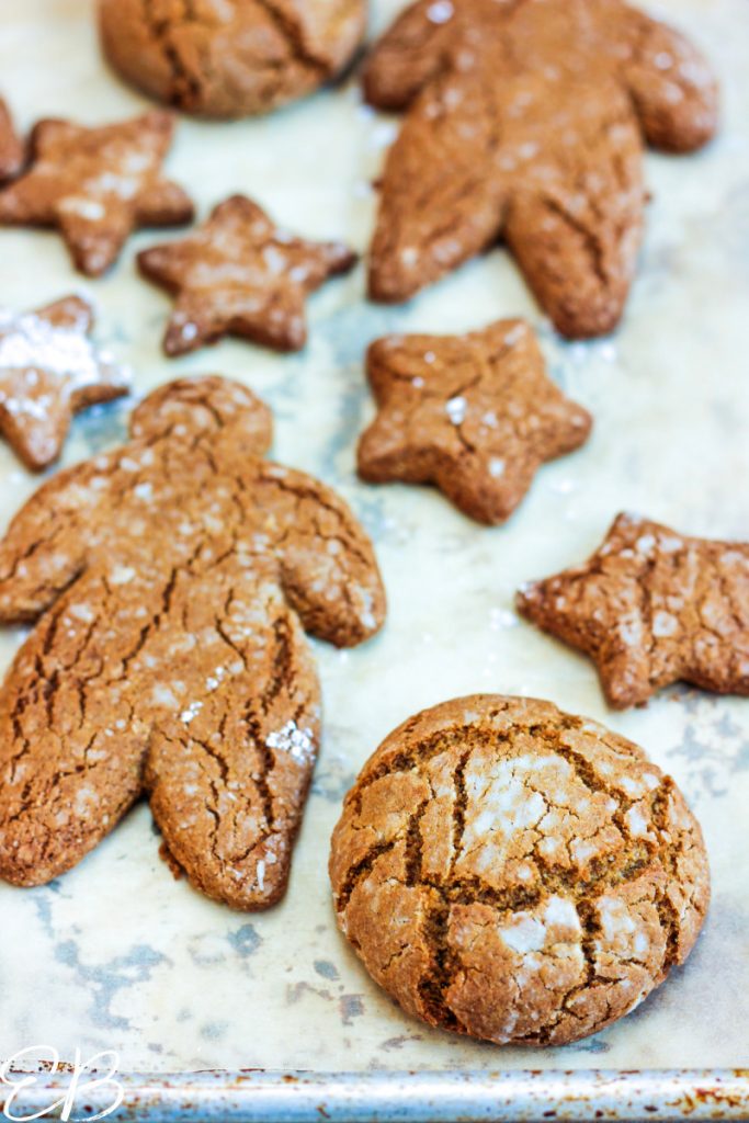 AIP Gingerbread Cookies! or House! (Paleo, Gluten-free) - Eat Beautiful
