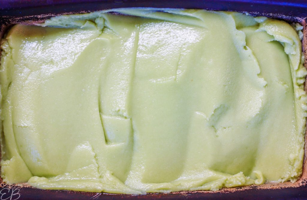 Avocado Ice Cream — dairy-free, with 8 flavor variations! - Eat Beautiful
