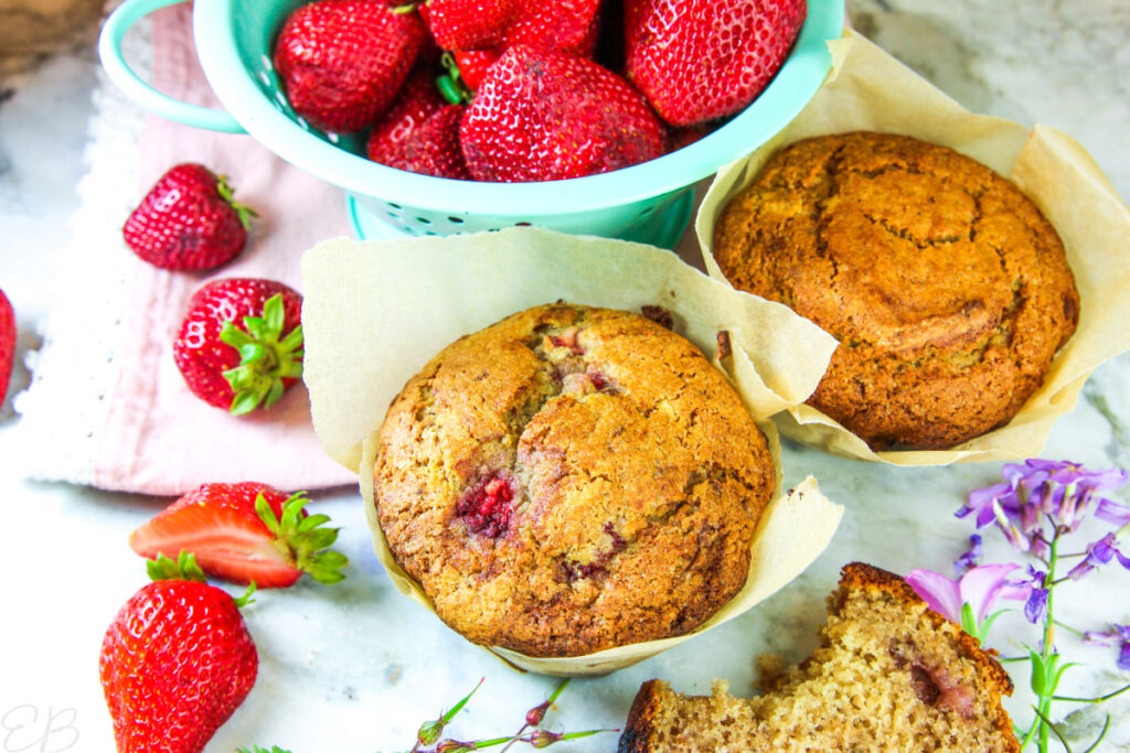 15 Best Paleo Muffin Recipes (Gluten-free; AIP, Keto, Egg-free & Nut ...