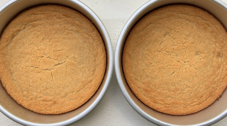 AIP Birthday Cake (Vanilla Cake with Frosting, Paleo) - Eat Beautiful