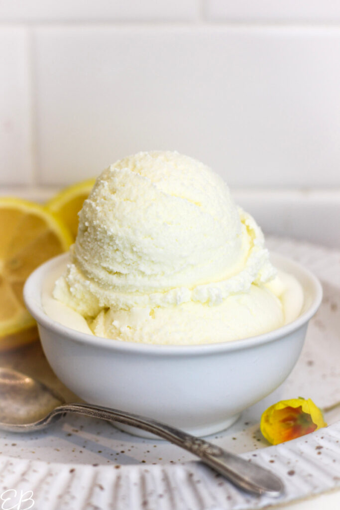 Lemon Ice Cream (Primal, Keto, Low Oxalate and Low Salicylate) - Eat ...