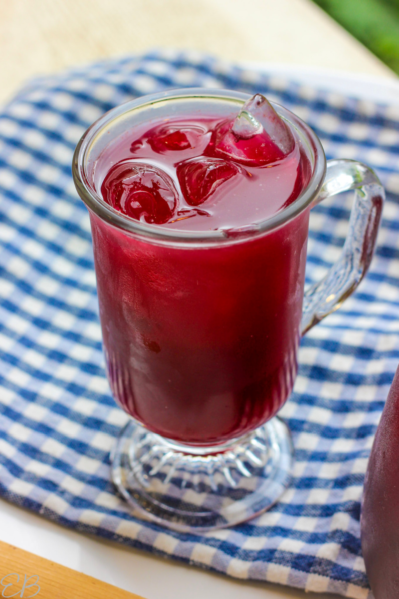 Blueberry Switchel (refined sugar-free, Paleo, AIP, Keto) - Eat Beautiful