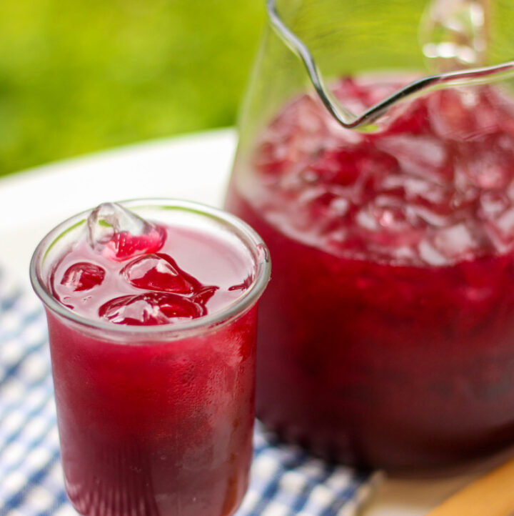Blueberry Switchel (refined sugar-free, Paleo, AIP, Keto) - Eat Beautiful