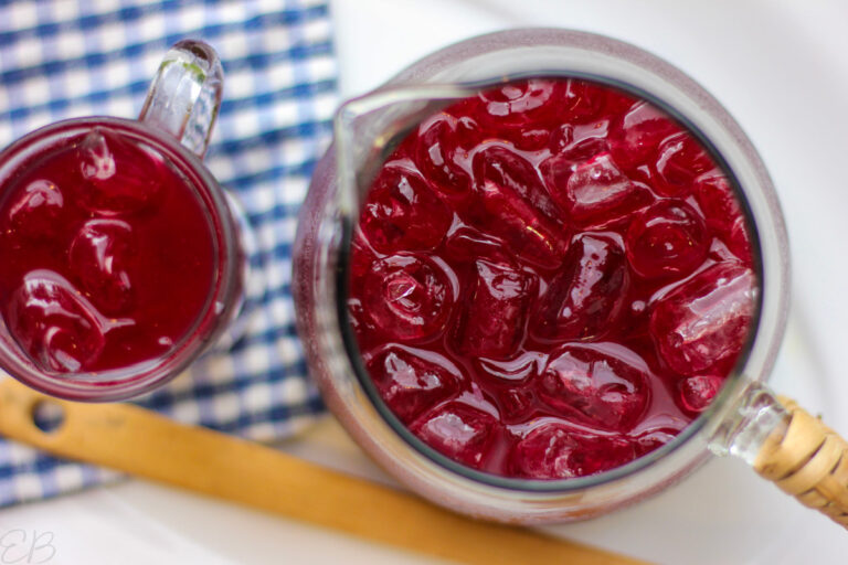 Blueberry Switchel (refined sugar-free, Paleo, AIP, Keto) - Eat Beautiful