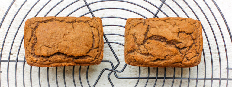 Best EASY AIP BREAD Recipe (Fast! Egg-free, Paleo, 90-Second option ...