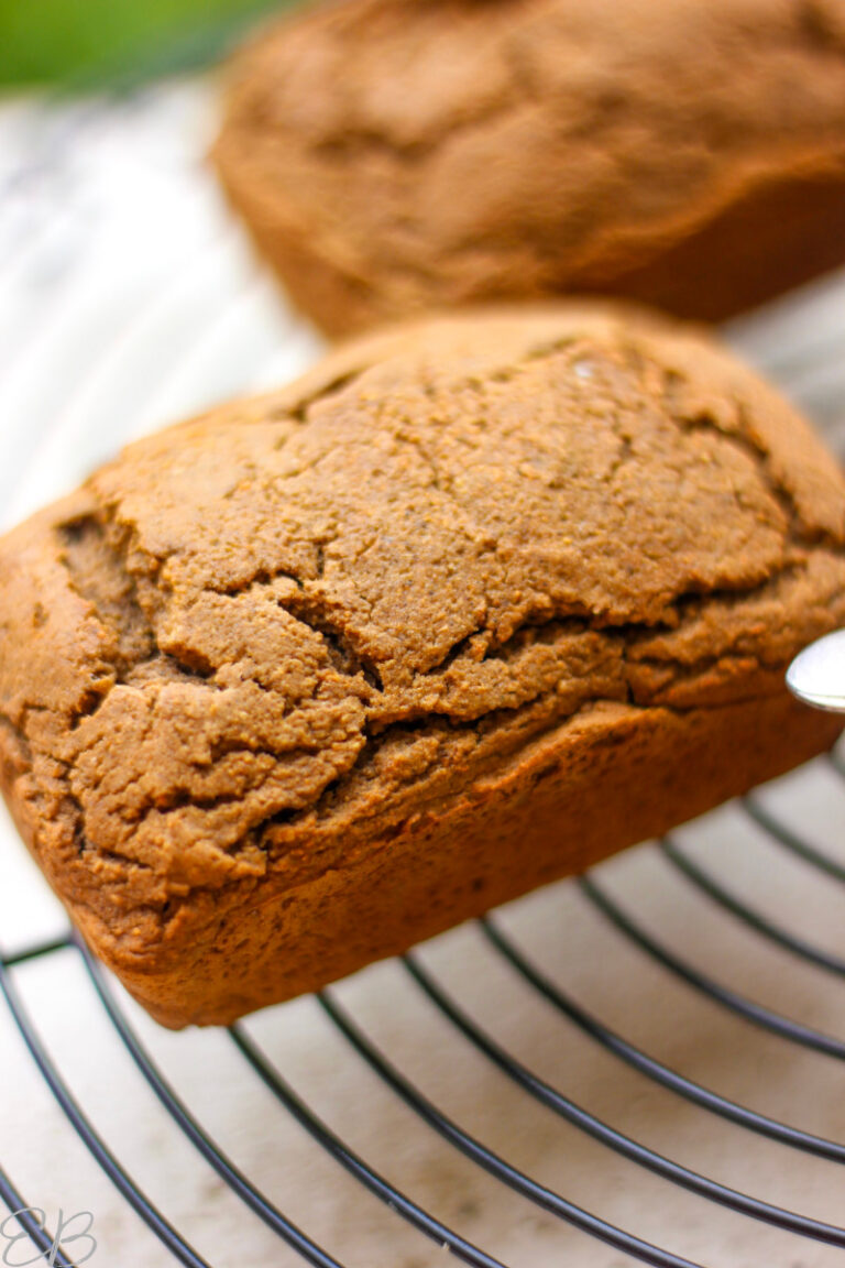 Best EASY AIP BREAD Recipe (Fast! Egg-free, Paleo, 90-Second option ...