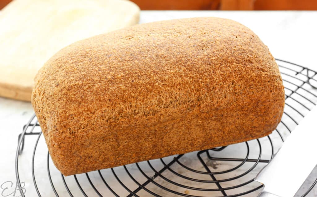 Low FODMAP Bread recipe (Gluten-Free, Vegan, Easy!) - Eat Beautiful