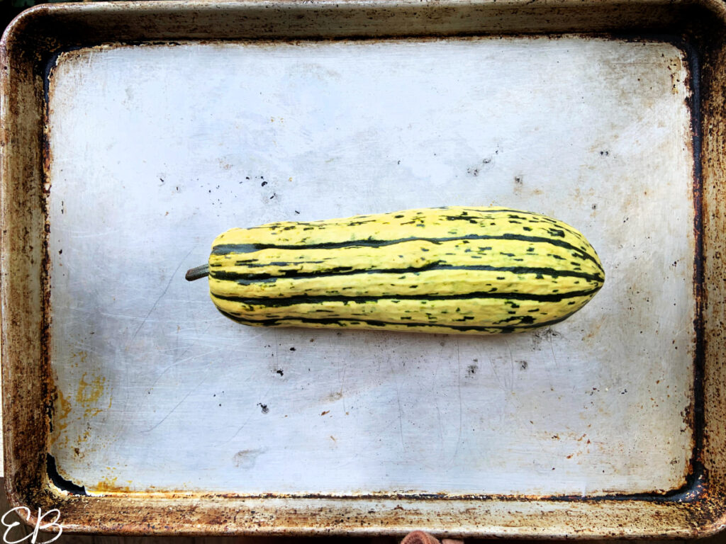 Roasted Caramelized Delicata Squash Slices (Easy Sheet Pan) - Eat Beautiful