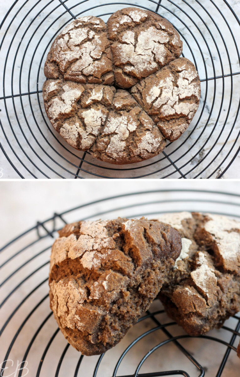 Paleo AIP Bread Rolls (great texture, EASY!) - Eat Beautiful