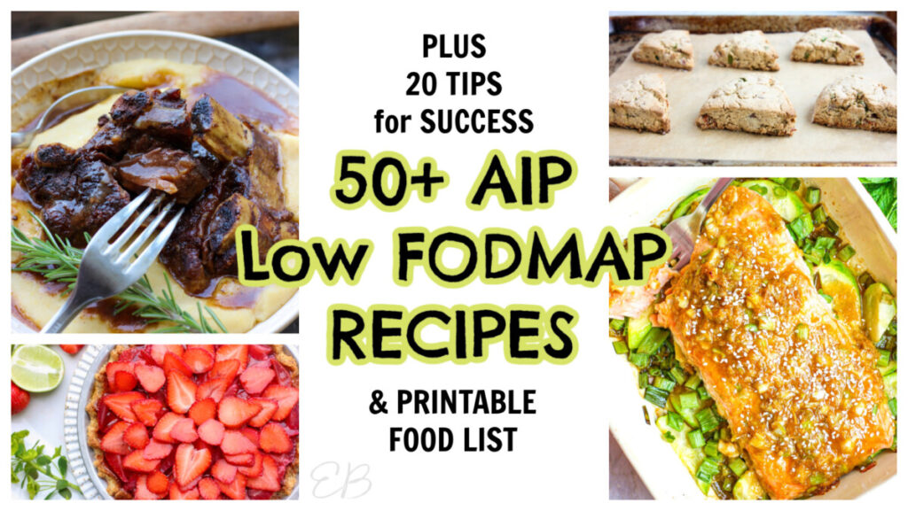 50+ Paleo AIP and Low FODMAP Recipes + TIPS! and Food List (Combo Diet ...