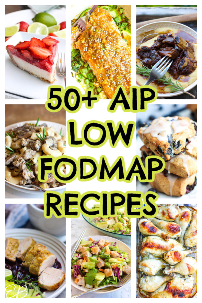 50+ Paleo AIP and Low FODMAP Recipes + TIPS! and Food List (Combo Diet ...