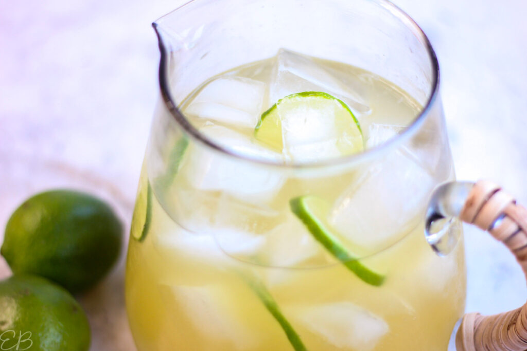 Easy Homemade Limeade (refined sugar free, Paleo, AIP, Keto) - Eat ...
