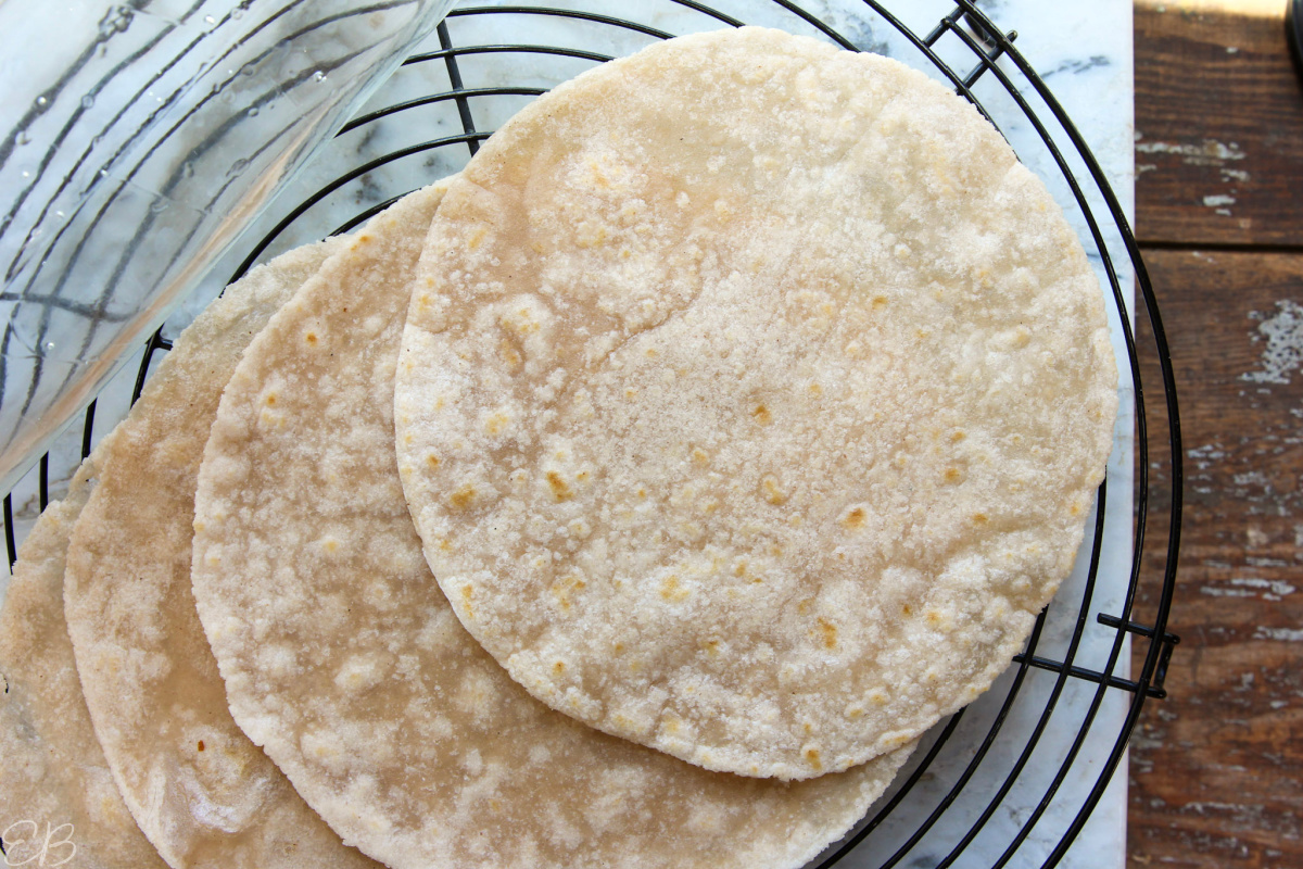 Paleo AIP Flatbread Recipe (Gluten-free Cassava Wraps) - Eat Beautiful