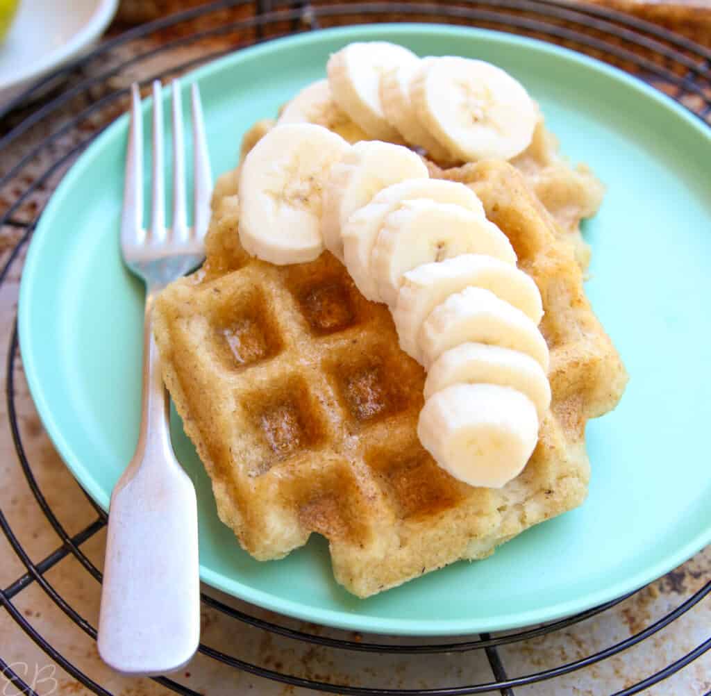 Masa Waffles (Gluten-free, Vegan, Low Oxalate, Easy!) - Eat Beautiful