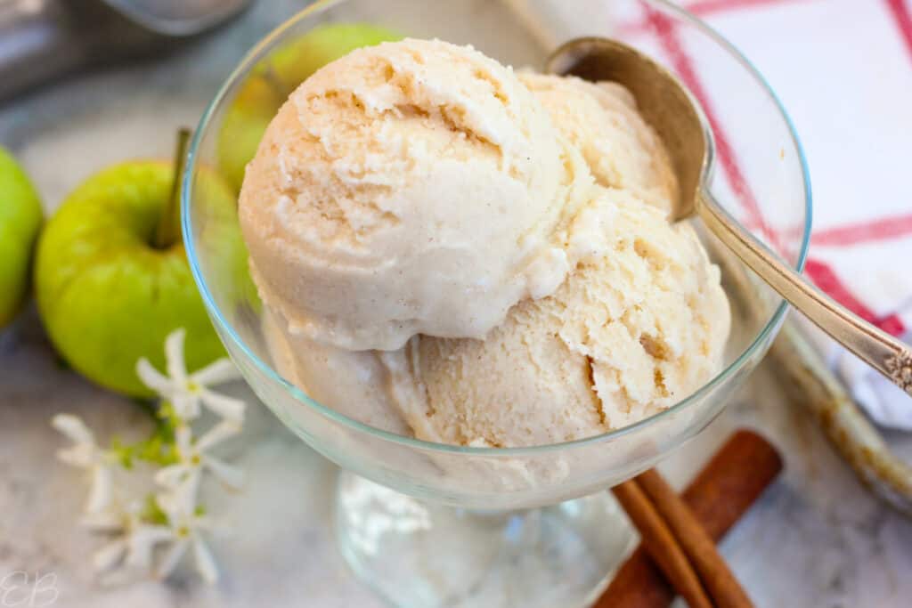 Apple Cider Sherbet (Paleo, AIP, refined sugar-free, Gluten-free) - Eat ...