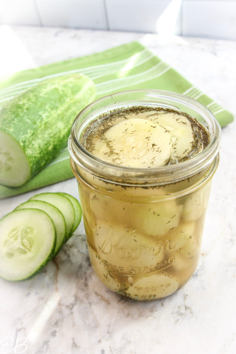 Easy Pickled Cucumbers (Refrigerator Pickles, no sugar, Paleo, AIP ...