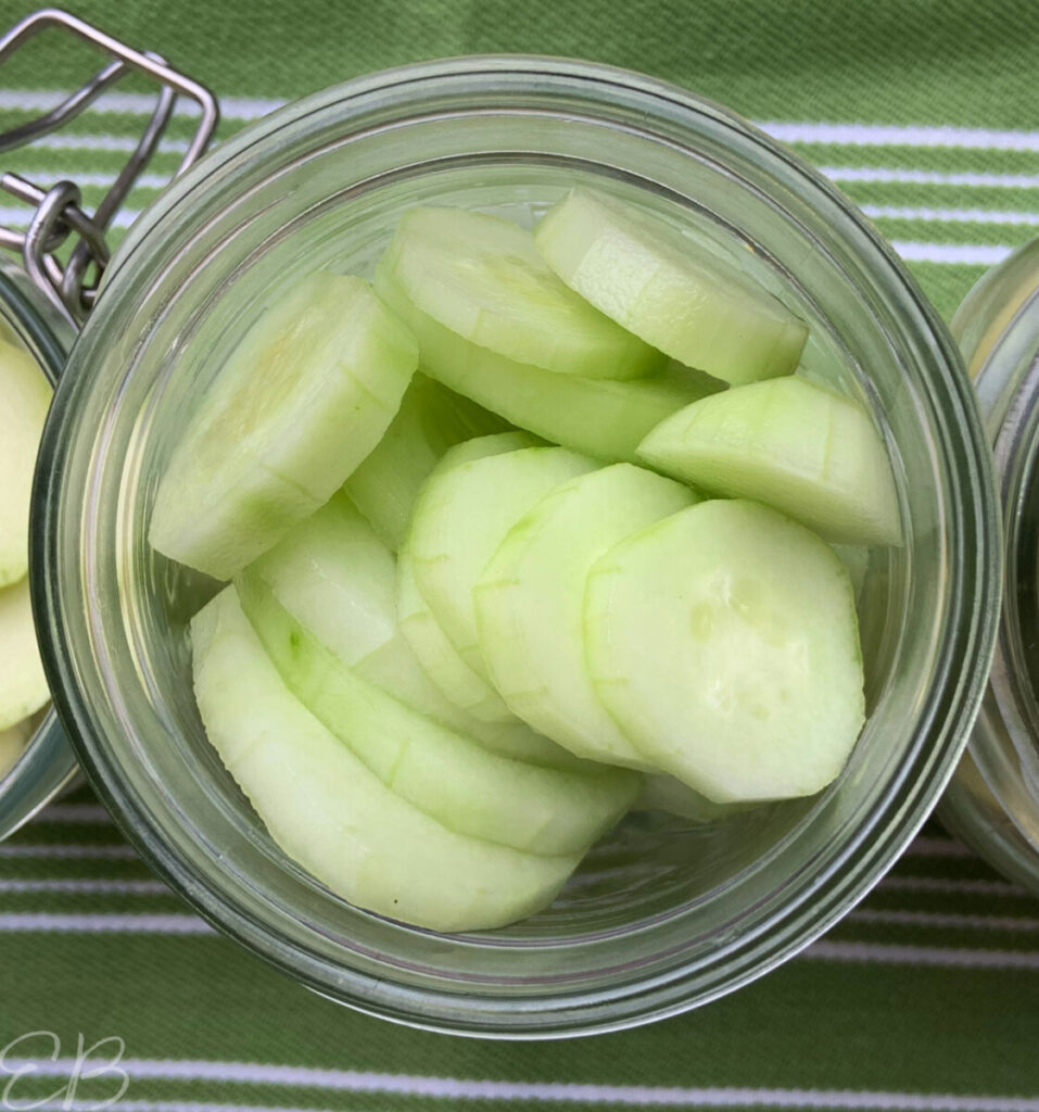 Easy Pickled Cucumbers (Refrigerator Pickles, no sugar, Paleo, AIP ...