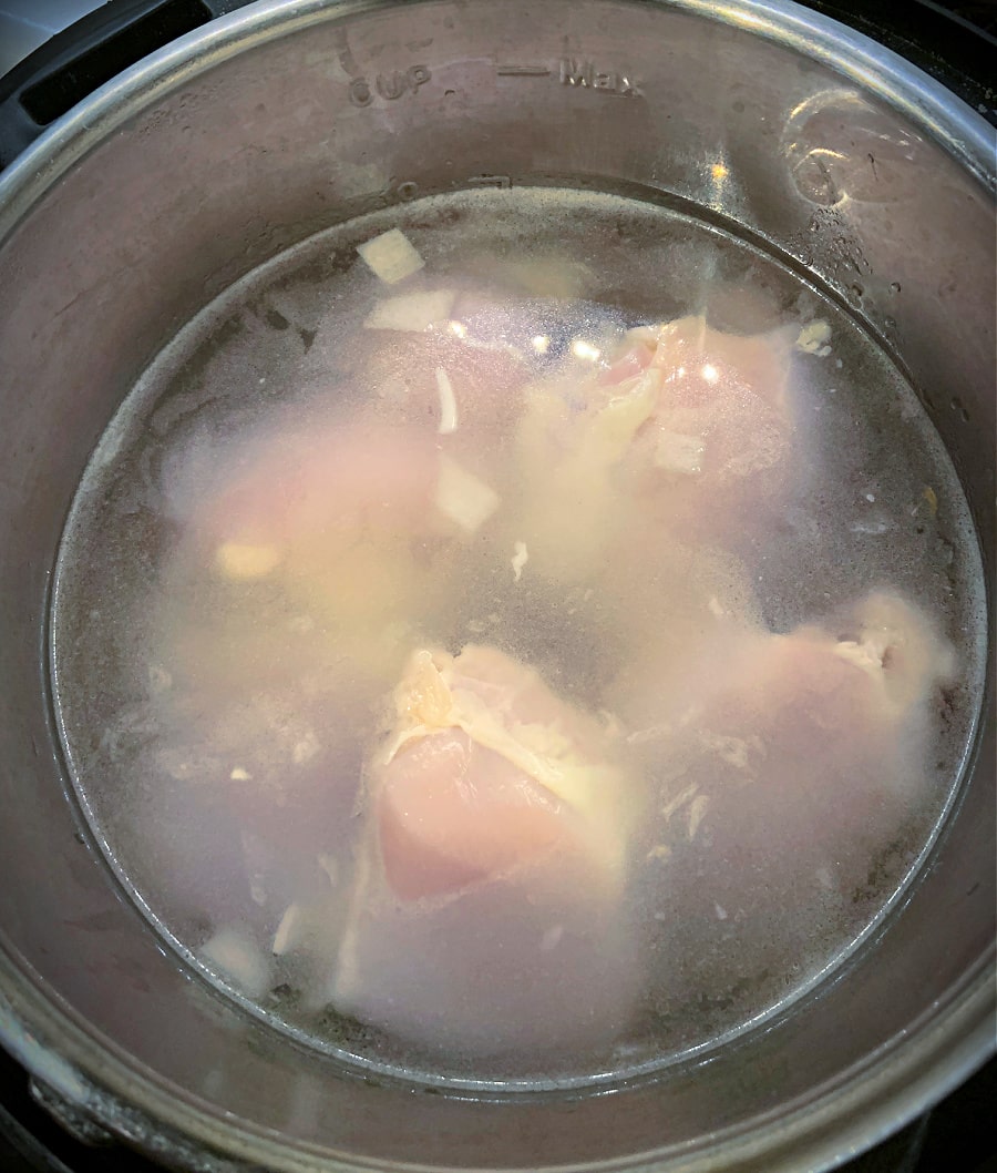 Paleo Instant Pot Chicken Noodle Soup (AIP, Stove Top Option!, Gluten ...