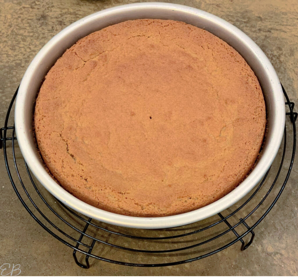 AIP Birthday Cake (Vanilla Cake with Frosting, Paleo, Egg-free, Nut ...