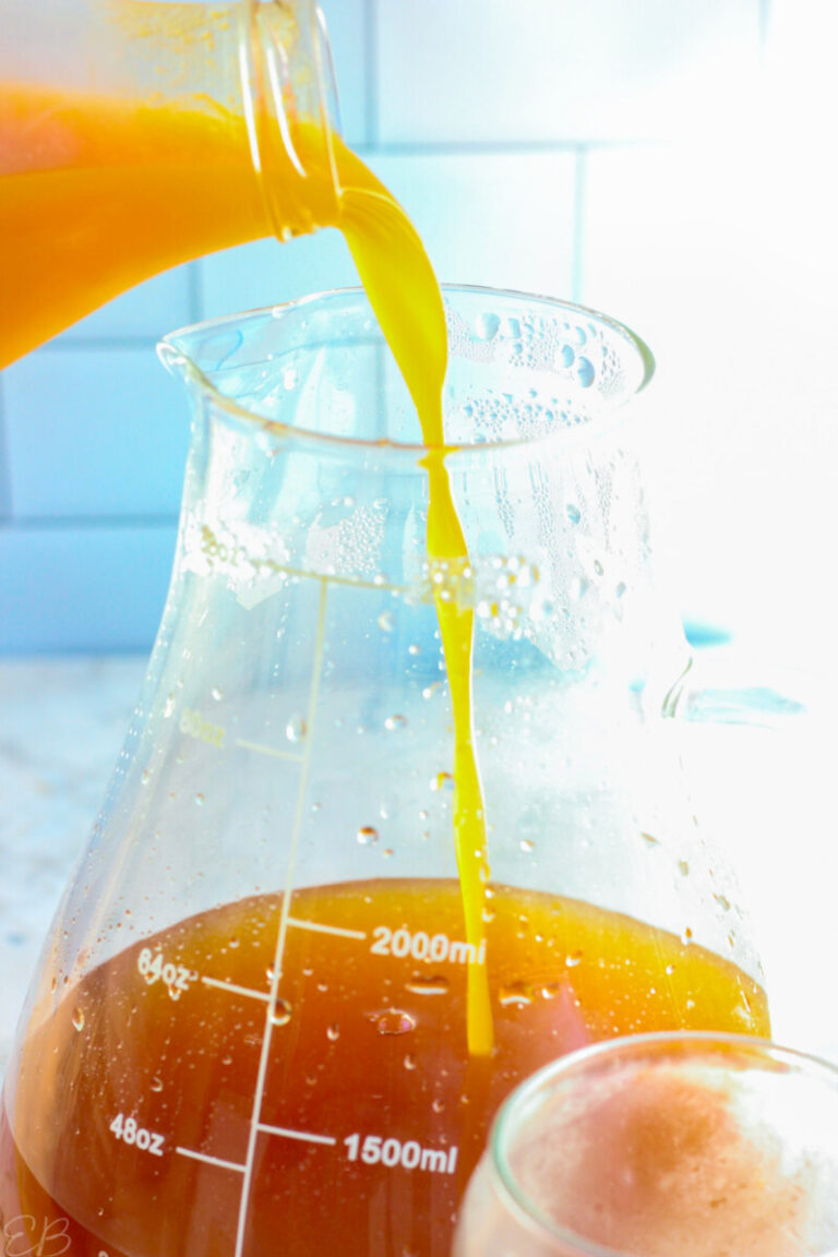 5 Fruit Iced Teas! (Fruit Juice + Tea = The Best Party Drinks without ...