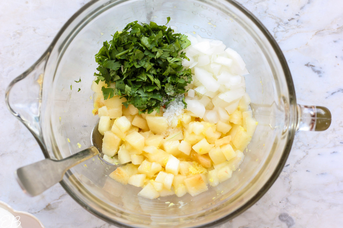 Nightshade-free Peach-Ginger Salsa with Cilantro (Paleo, AIP) - Eat ...