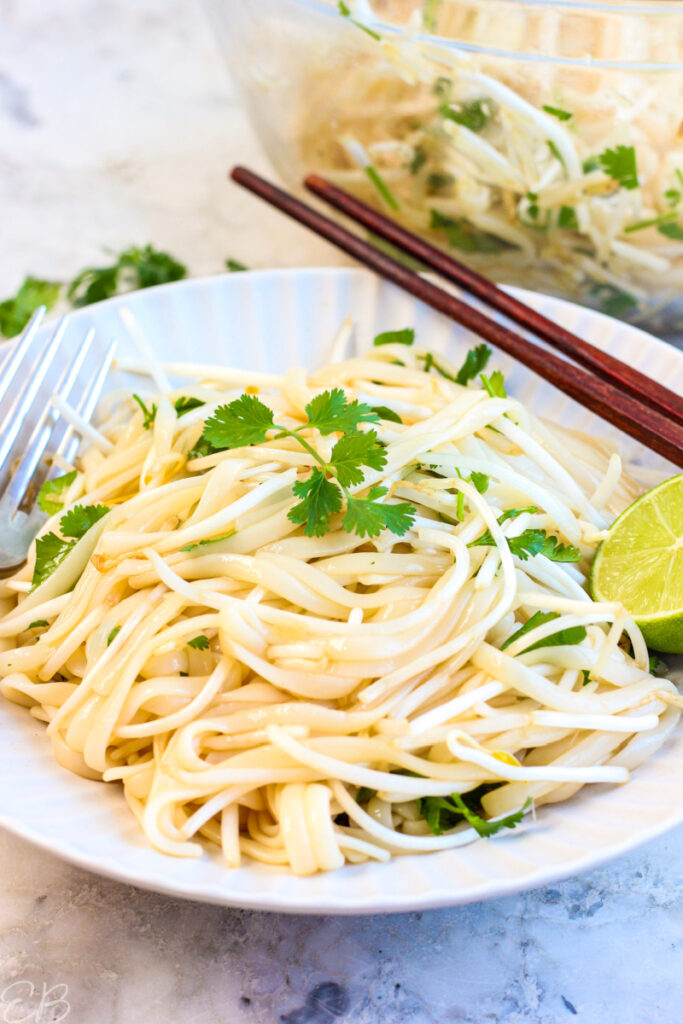 Cold Thai Noodle Salad with Easy Asian Lime Dressing (Gluten-free ...