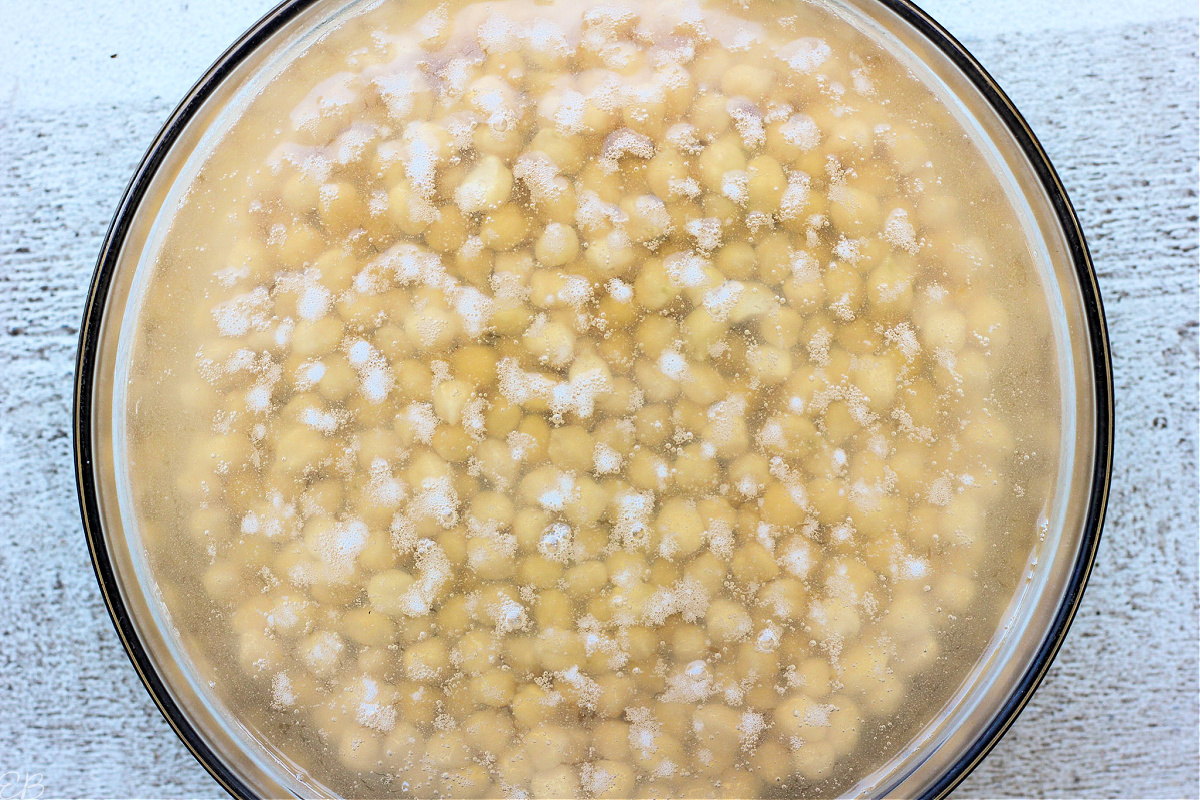 Healthiest Hummus Recipe (NO GAS, no nightshades, Blender option) - Eat ...