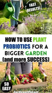 How to Add Probiotics to Your Garden to Make It Grow Better - Eat Beautiful