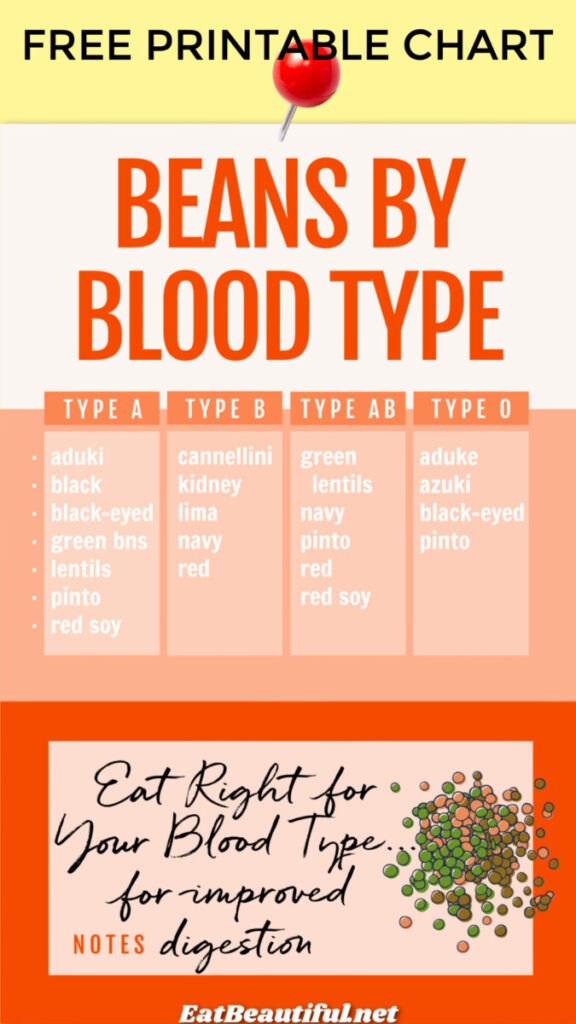 Types of BEANS to Eat Based on BLOOD TYPE (Chart with Free Printable ...