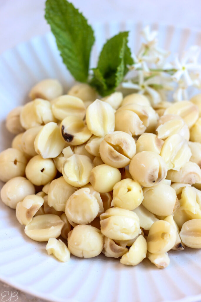 How to Cook LOTUS SEEDS (Stove top or Instant Pot) - Eat Beautiful