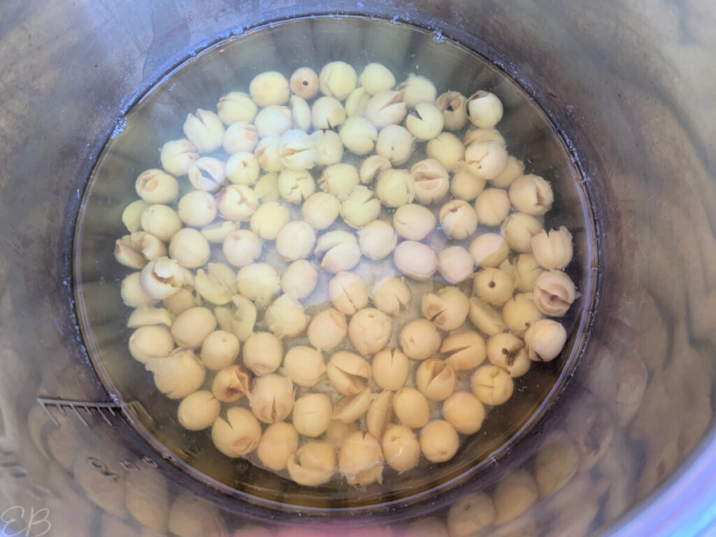 How to Cook LOTUS SEEDS (Stove top or Instant Pot) - Eat Beautiful