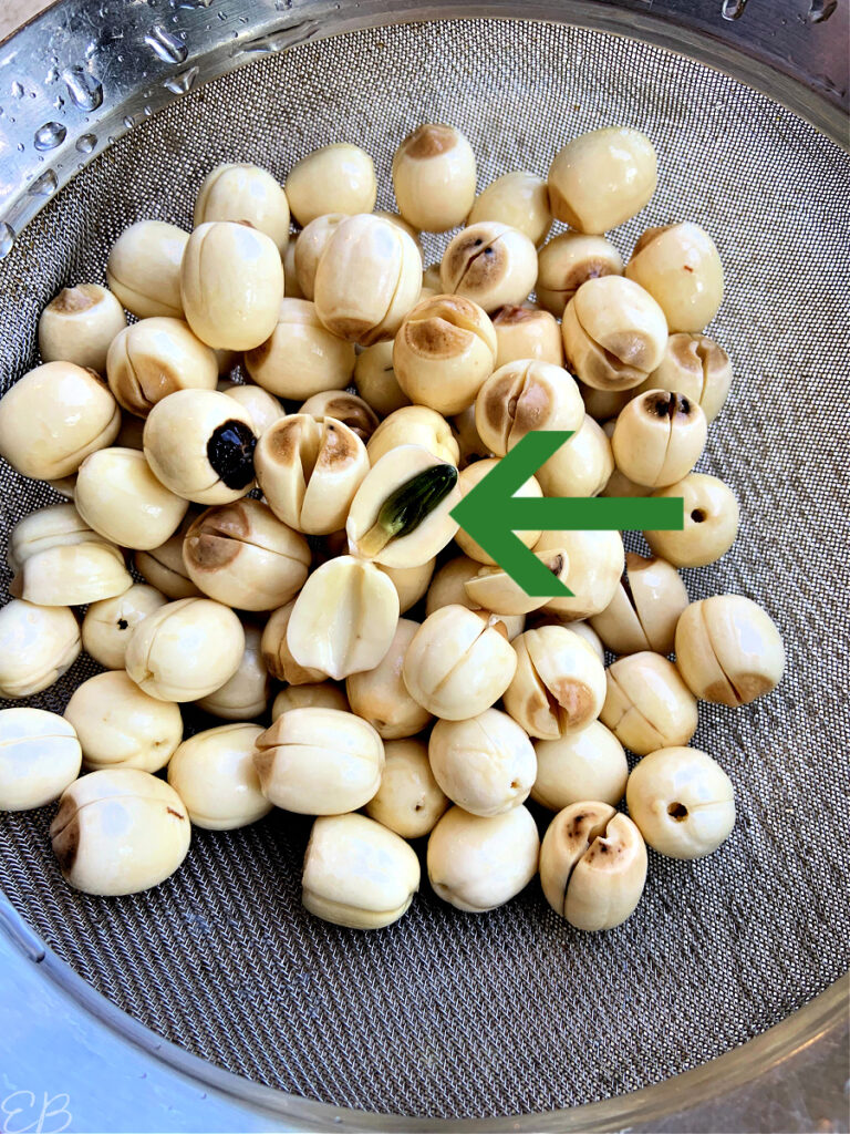 How to Cook LOTUS SEEDS (Stove top or Instant Pot) - Eat Beautiful
