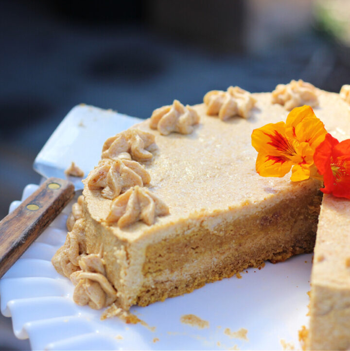 AIP Pumpkin Cake (Paleo, dairy-free, nut-free, egg-free) with ...