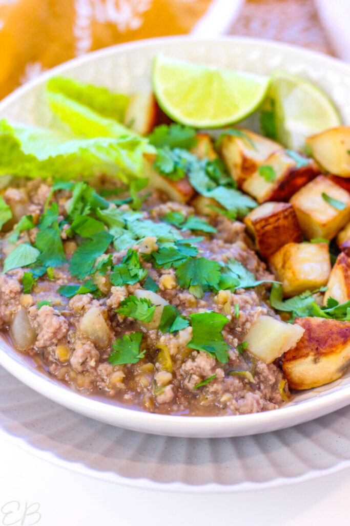 Red Lentil Curry with Ground Turkey (GF, DF, Low Oxalate) - Eat Beautiful