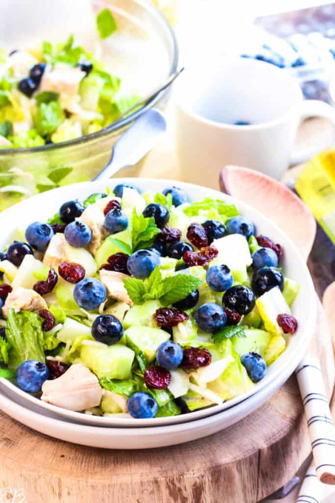 Blueberry Chicken Chopped Salad with Dried Cranberries - Eat Beautiful