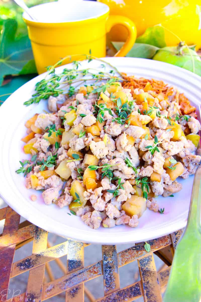 60+ Easy Egg-free Breakfasts (Gluten-free, Higher Protein, Paleo, AIP ...